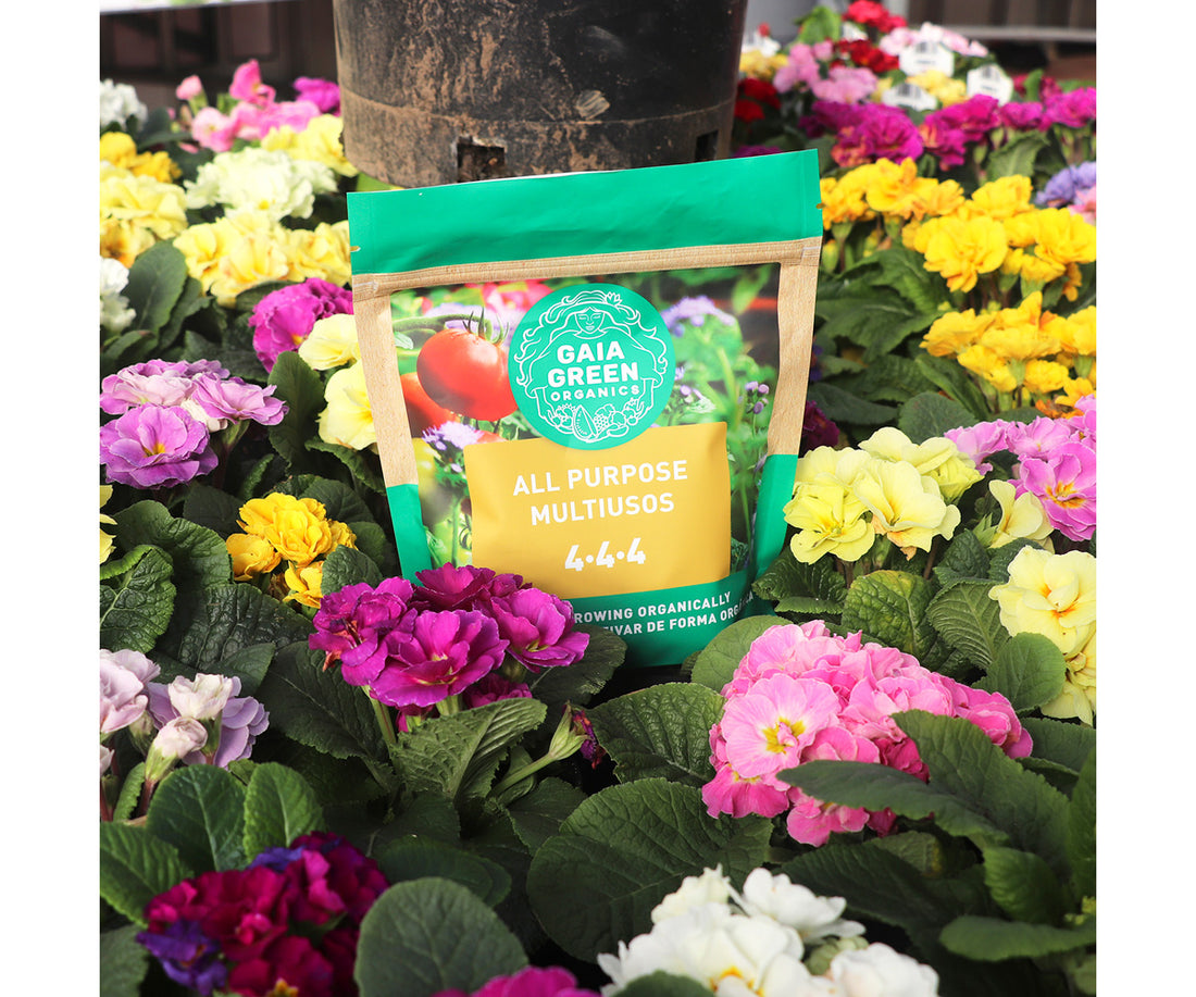 Gaia Green Organic All Purpose Fertilizer 4-4-4 - Happy Hydro