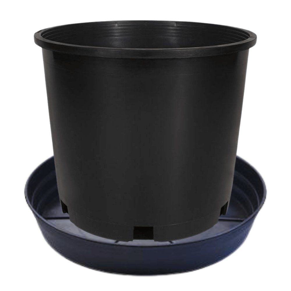 5-Gallon Pots & Saucers Premium Black Squat Injection Nursery Pots 5 ...