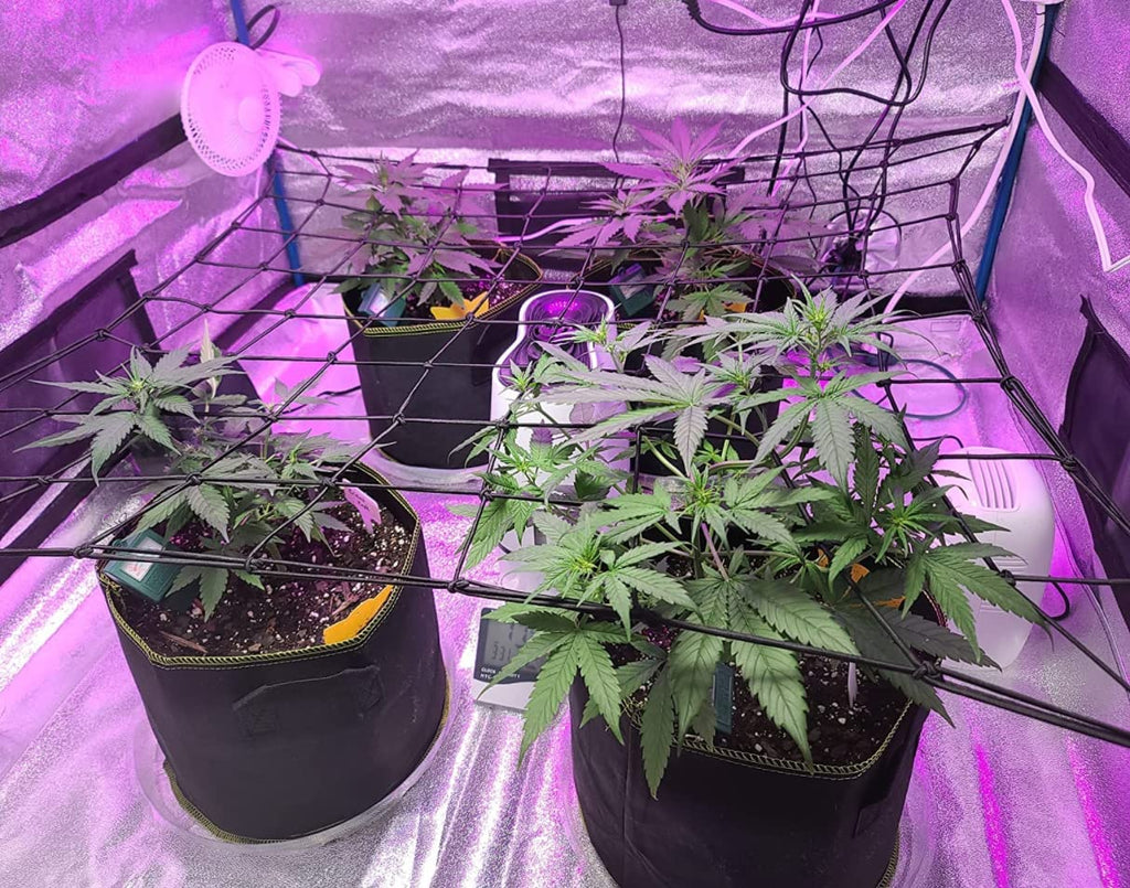 AC Infinity Trellis Netting for 2x2 Grow Tents - Happy Hydro