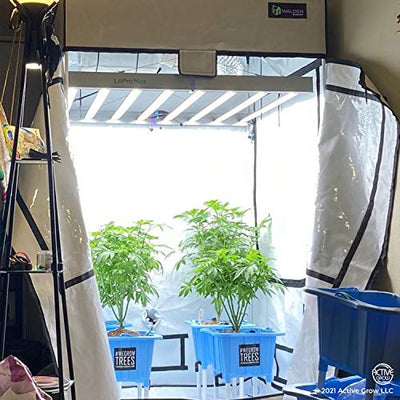 Active Grow Walden 4x4 Grow Tent 48''x48''x80'' - Happy Hydro