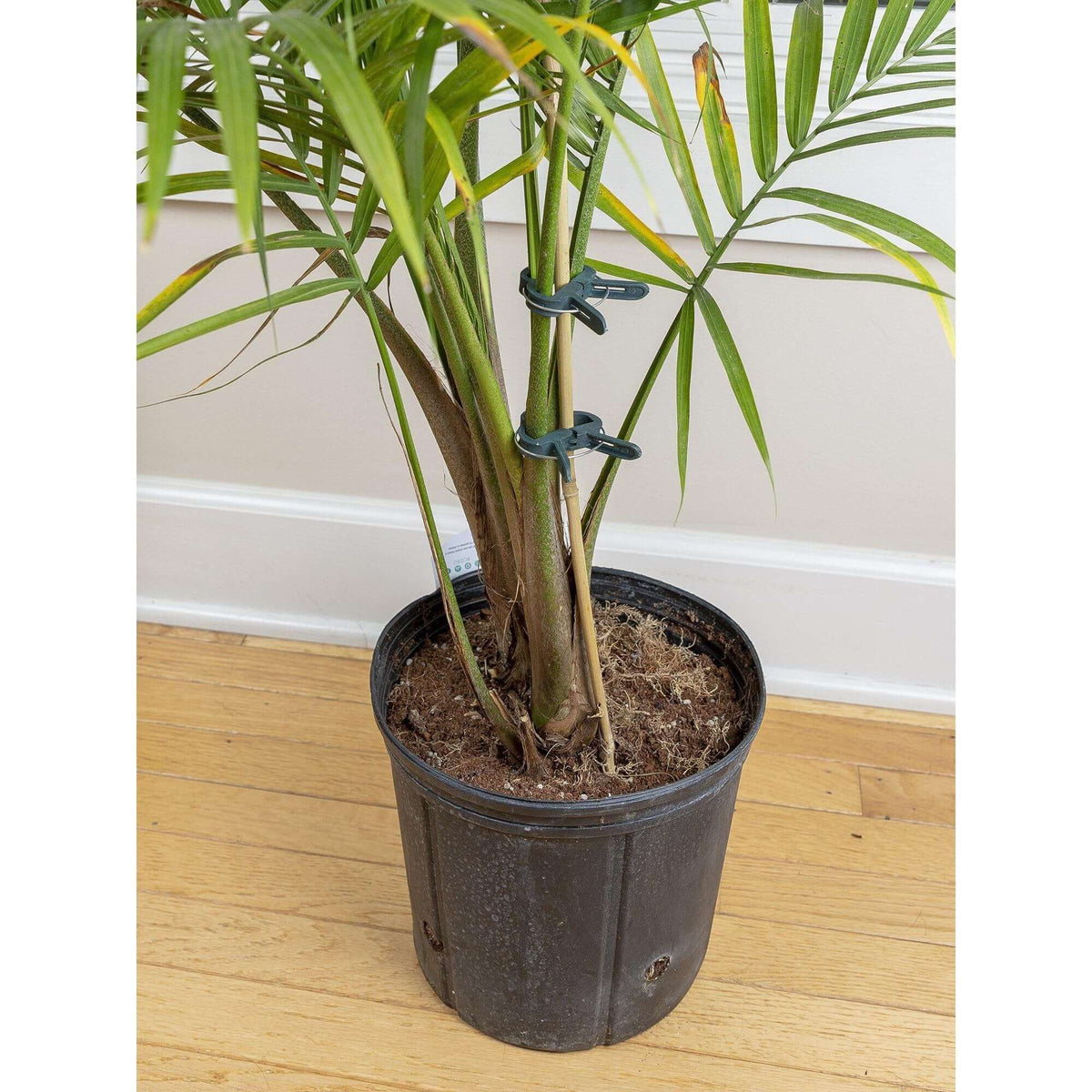 Happy Hydro Spring-Loaded Plant Clips - Happy Hydro