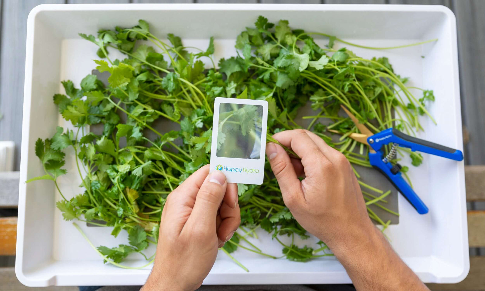 Kief Collector Laptop Trimming Tray - Happy Hydro
