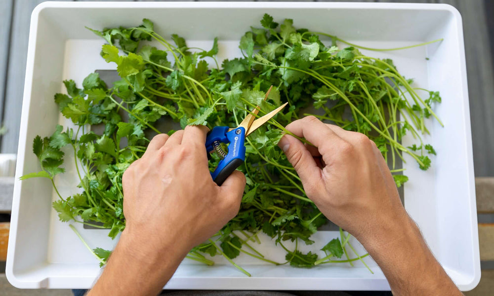 Kief Collector Laptop Trimming Tray - Happy Hydro